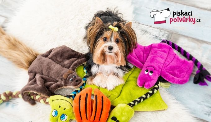 Hry se psy a chytré odměny - Pískací potvůrky